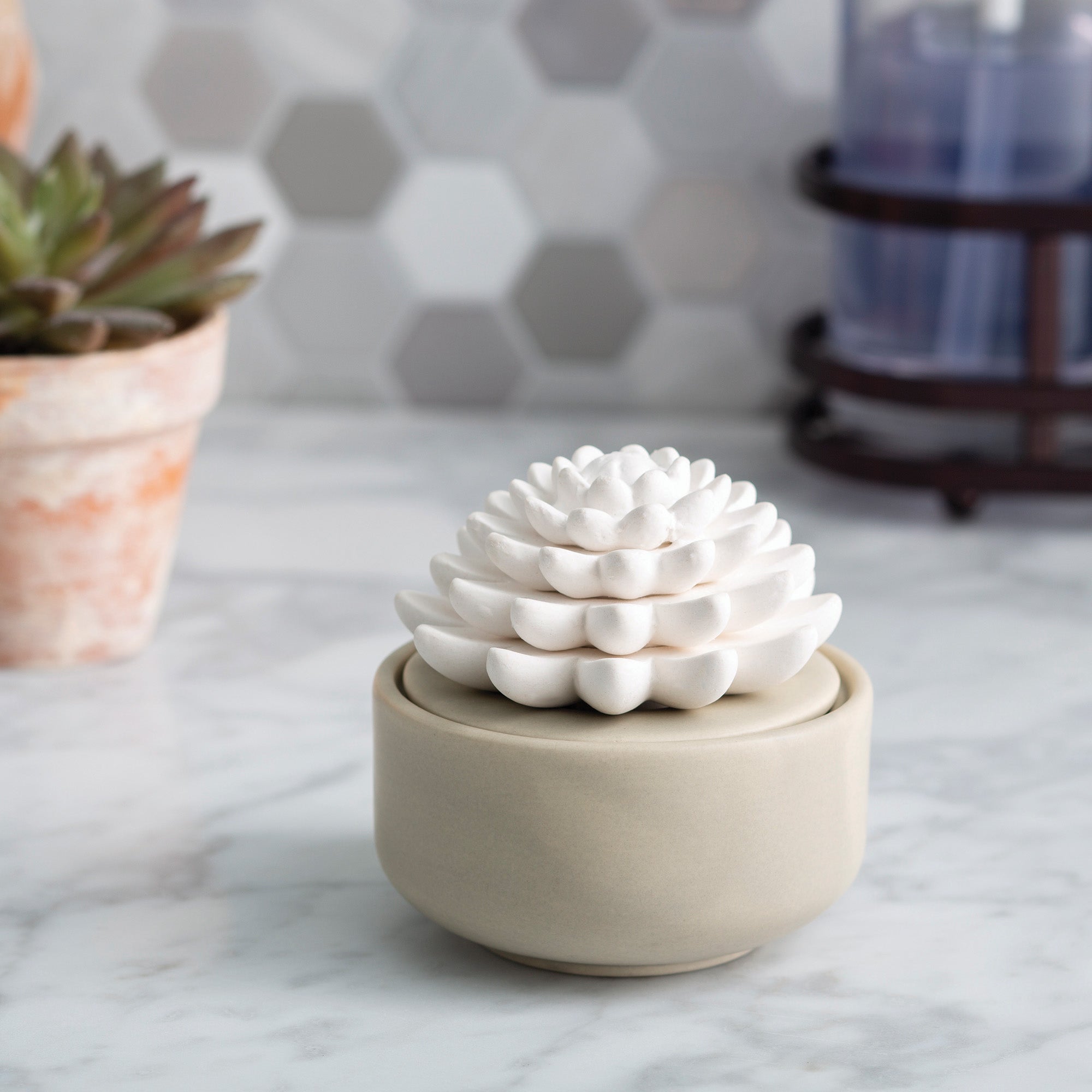 Succulent Porcelain Passive Diffuser - RRP $29.95 - Wholesale – Candle ...